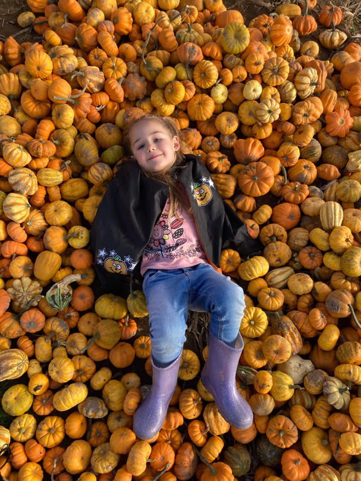 Tickets Archives - The Secret Farm