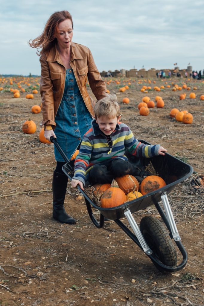 The Secret Farm - Pick Your Own - PYO in Bedfordshire