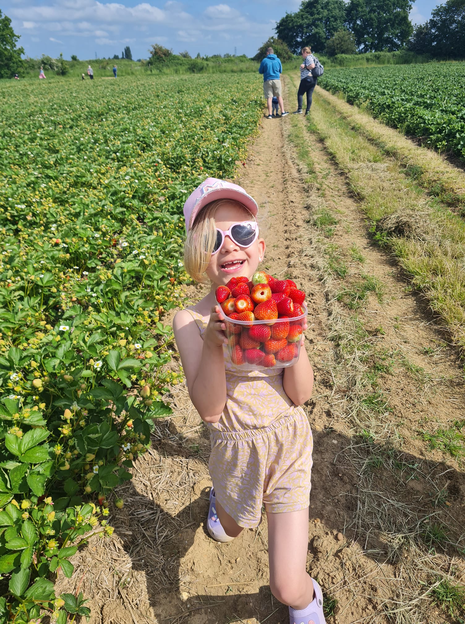 Strawberry Picking at The Secret Farm: A Bedfordshire Delight - The ...