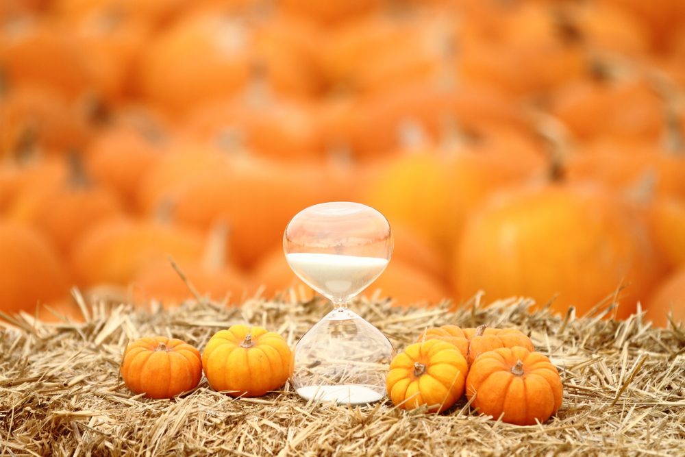 The Secret Farm - Pick Your Own - PYO in Bedfordshire