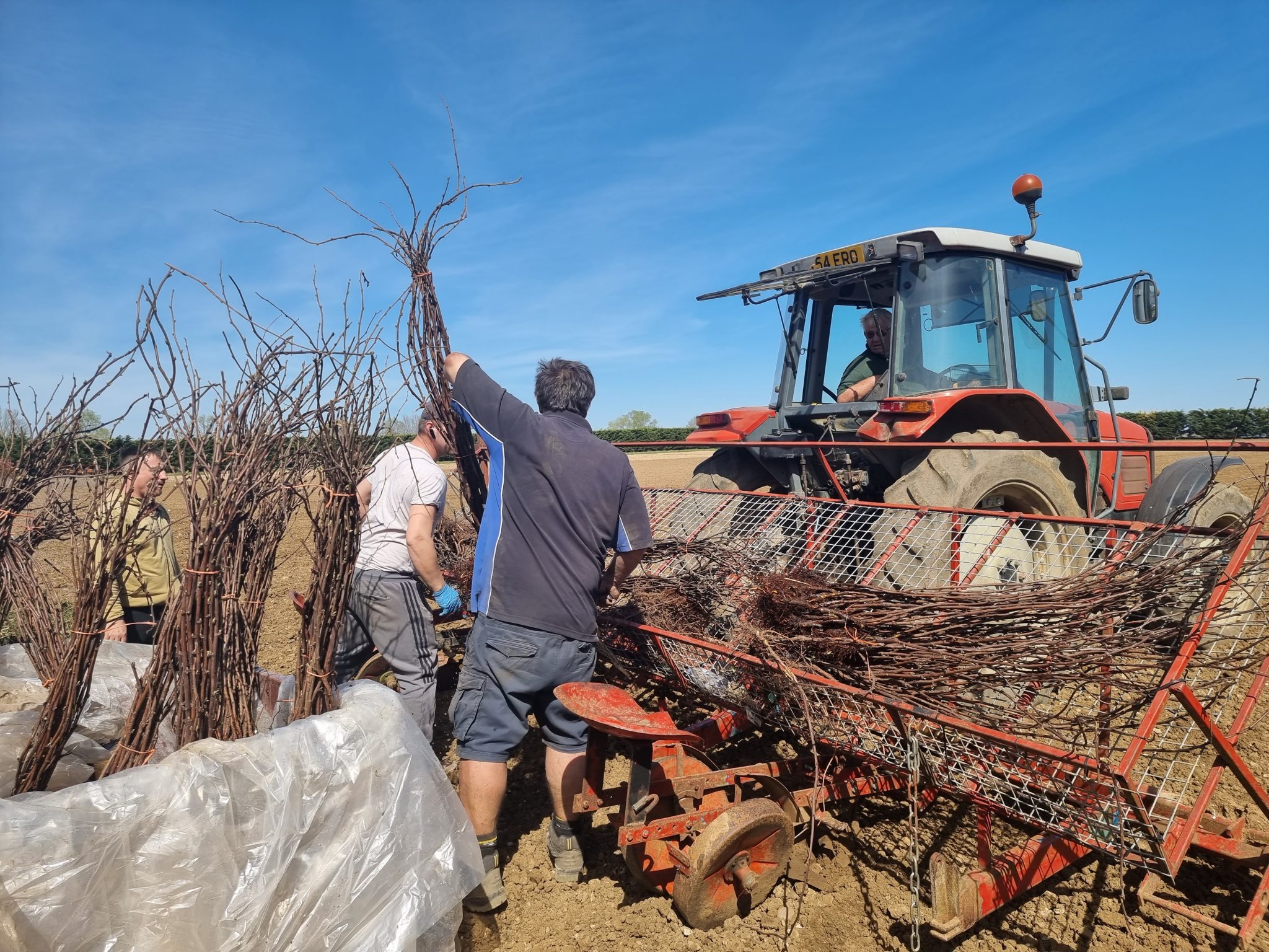 The Secret Farm - Pick Your Own - PYO in Bedfordshire