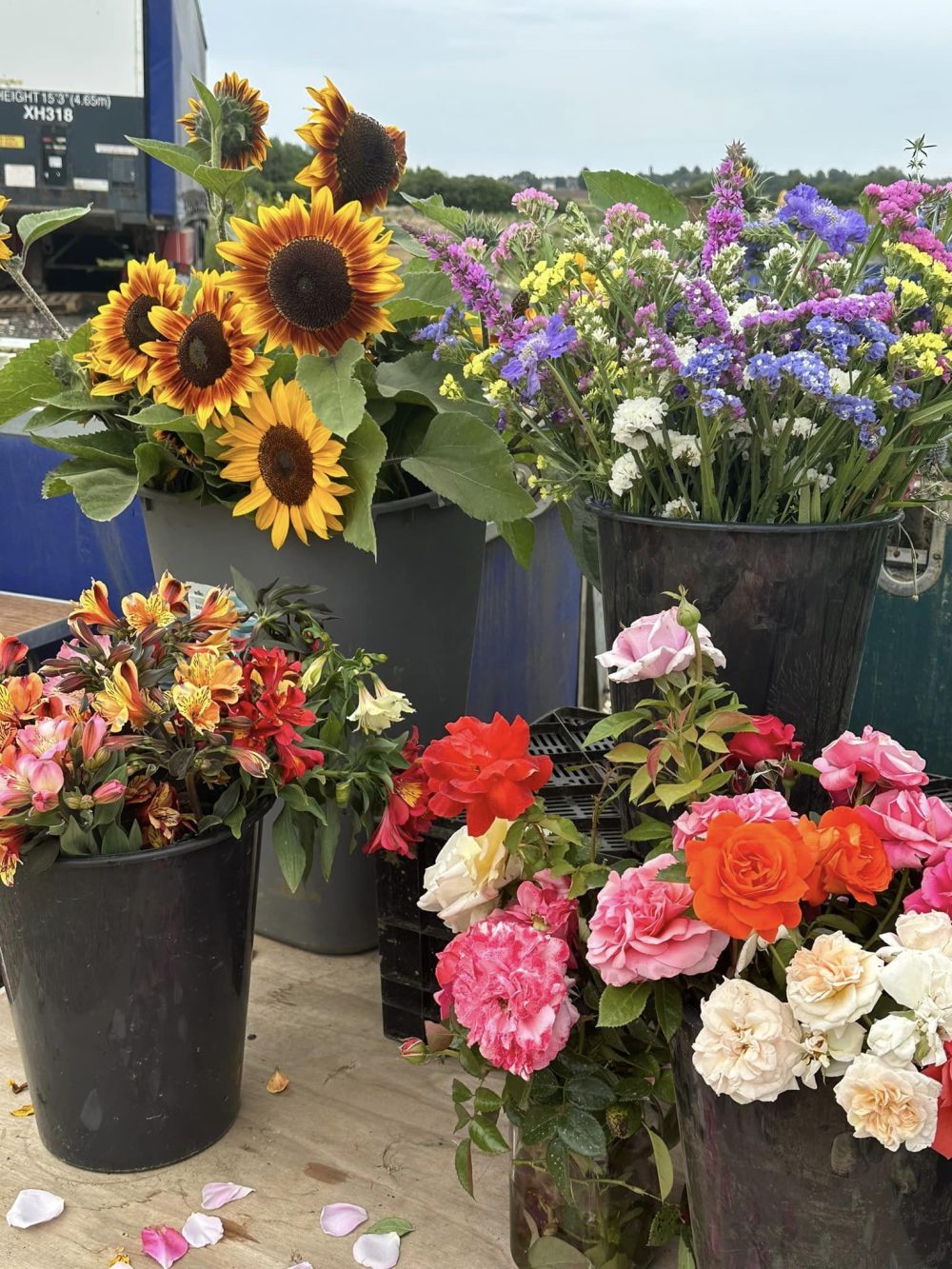 The Secret Farm - Pick Your Own - PYO in Bedfordshire