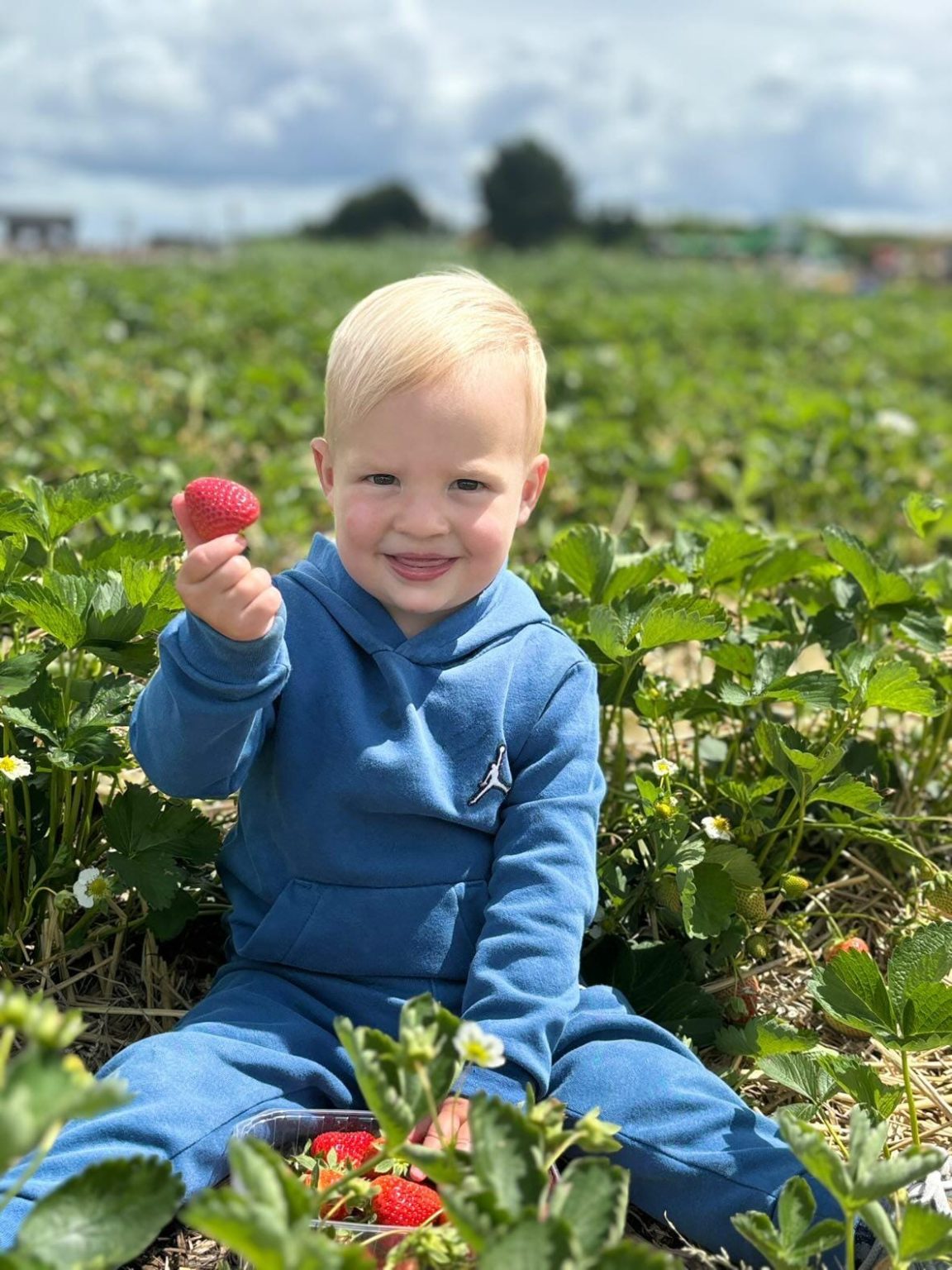 The Secret Farm - Pick Your Own - PYO in Bedfordshire