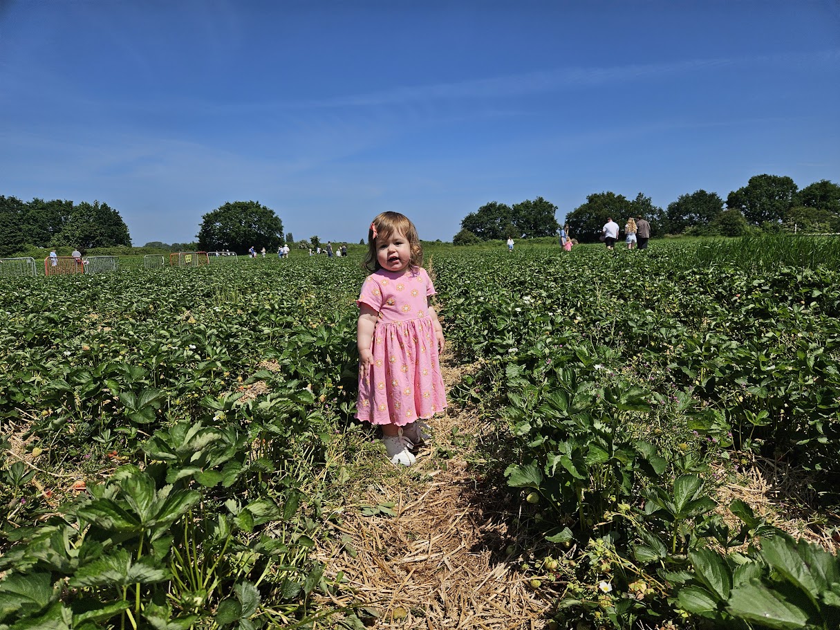 Discover the Newest Pumpkin Varieties at The Secret Farm - The Secret ...