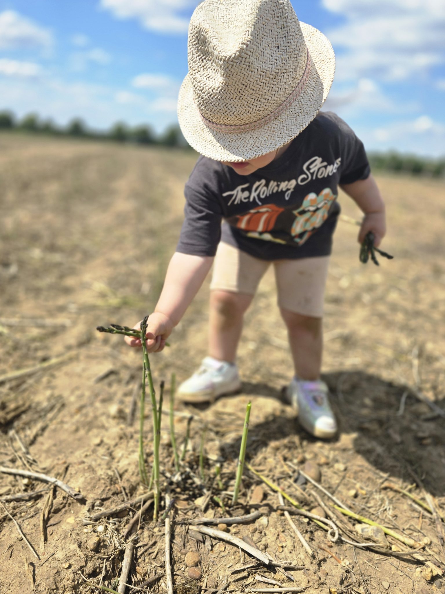 The Secret Farm PYO - 2025 - The Secret Farm