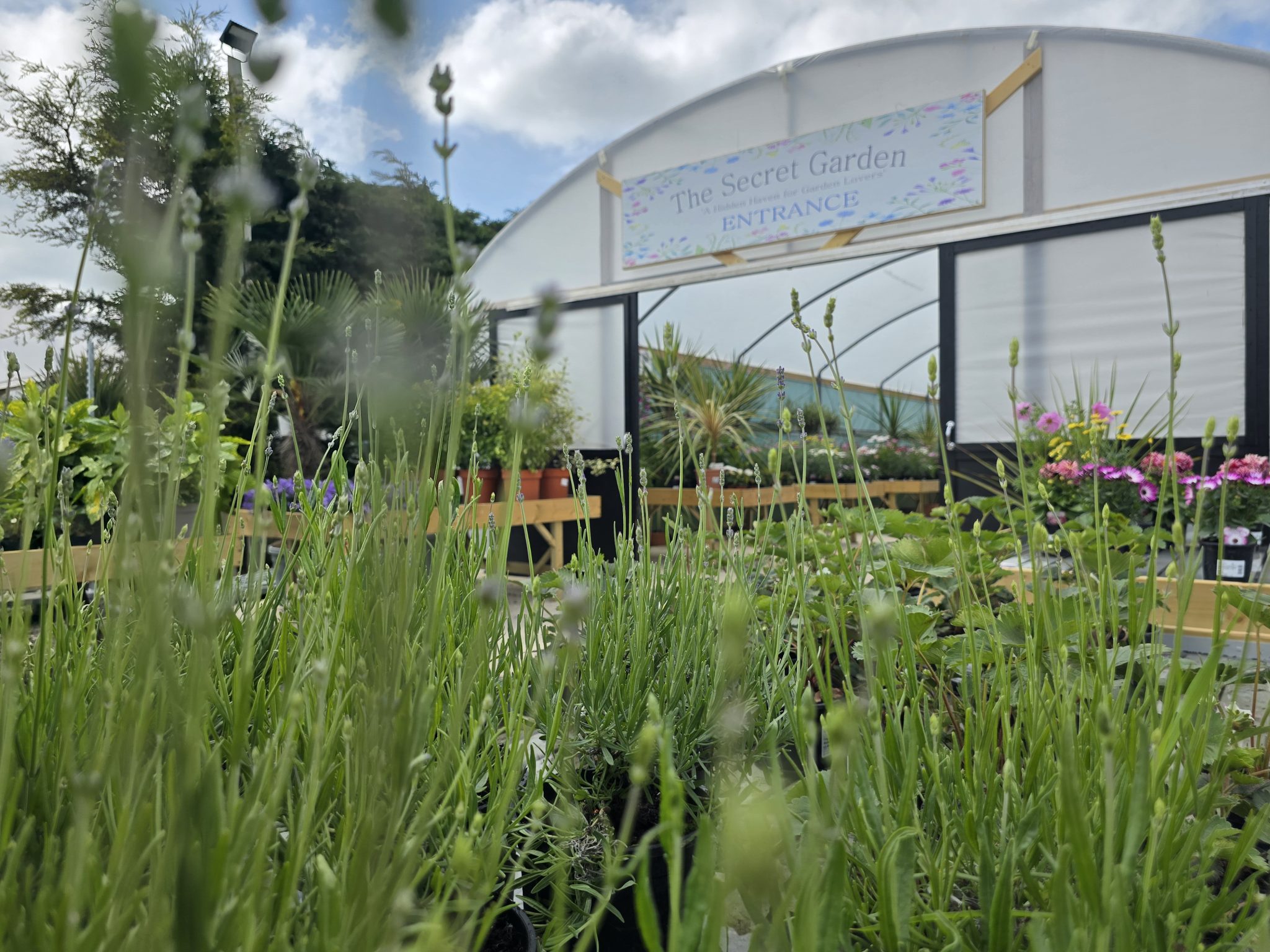 Tickets - The Secret Farm - PYO in Bedfordshire