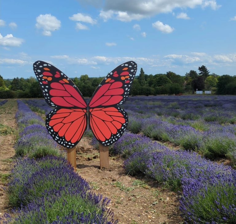 Tickets Archives - The Secret Farm