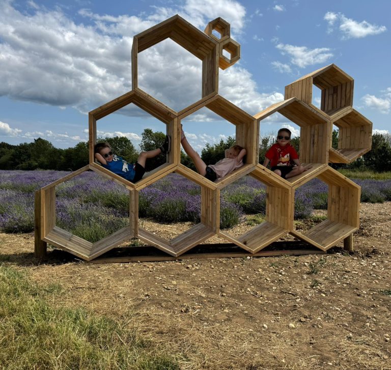 The Secret Farm PYO - 2025 - The Secret Farm