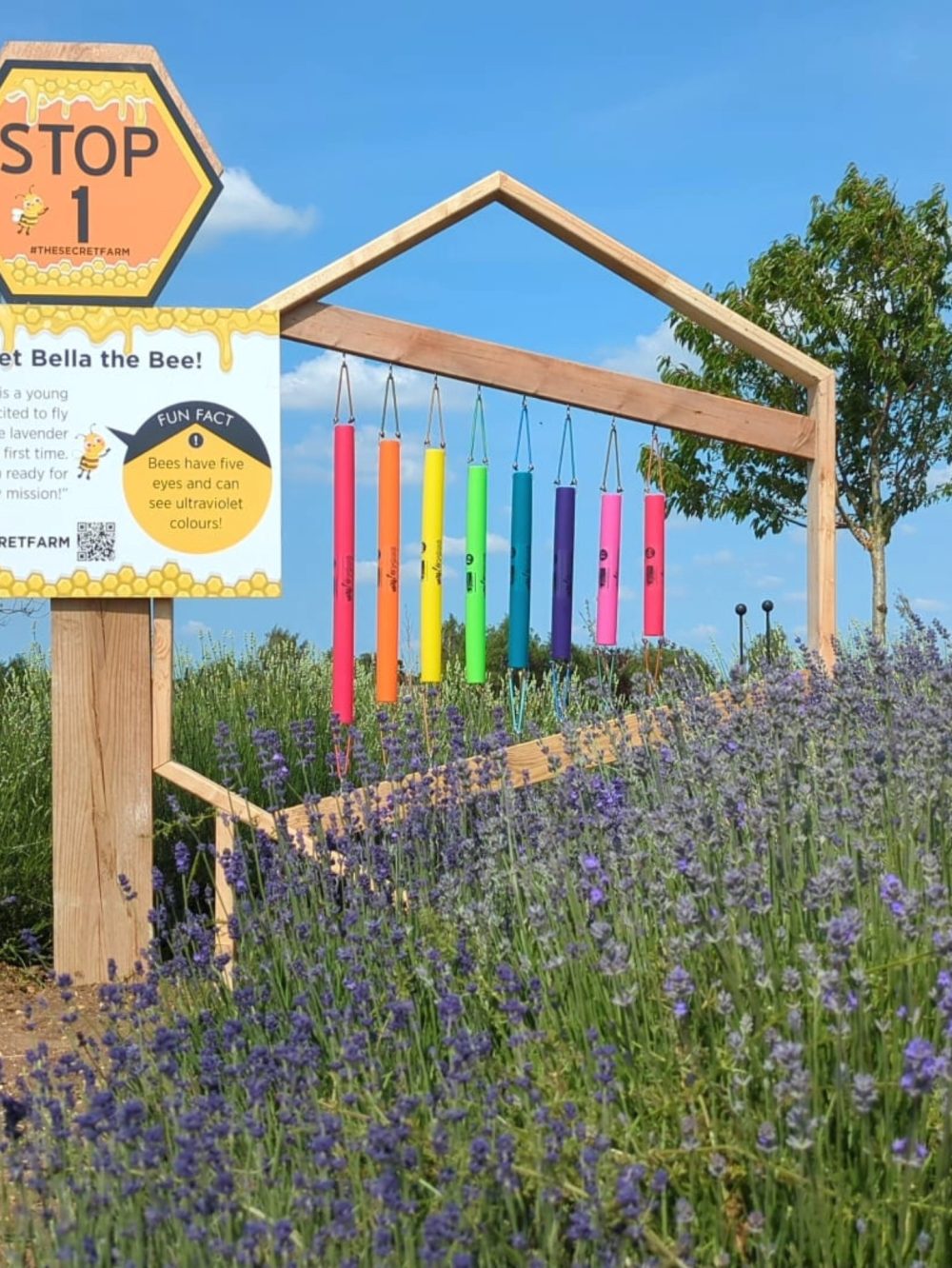 The Secret Farm PYO - 2025 - The Secret Farm