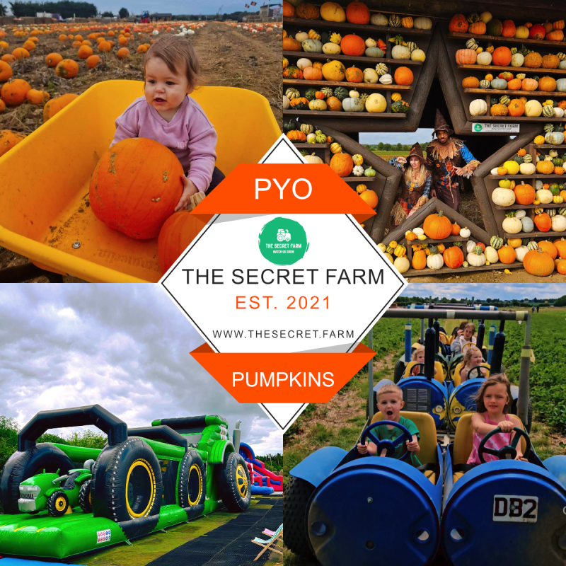 Tickets - The Secret Farm - PYO in Bedfordshire