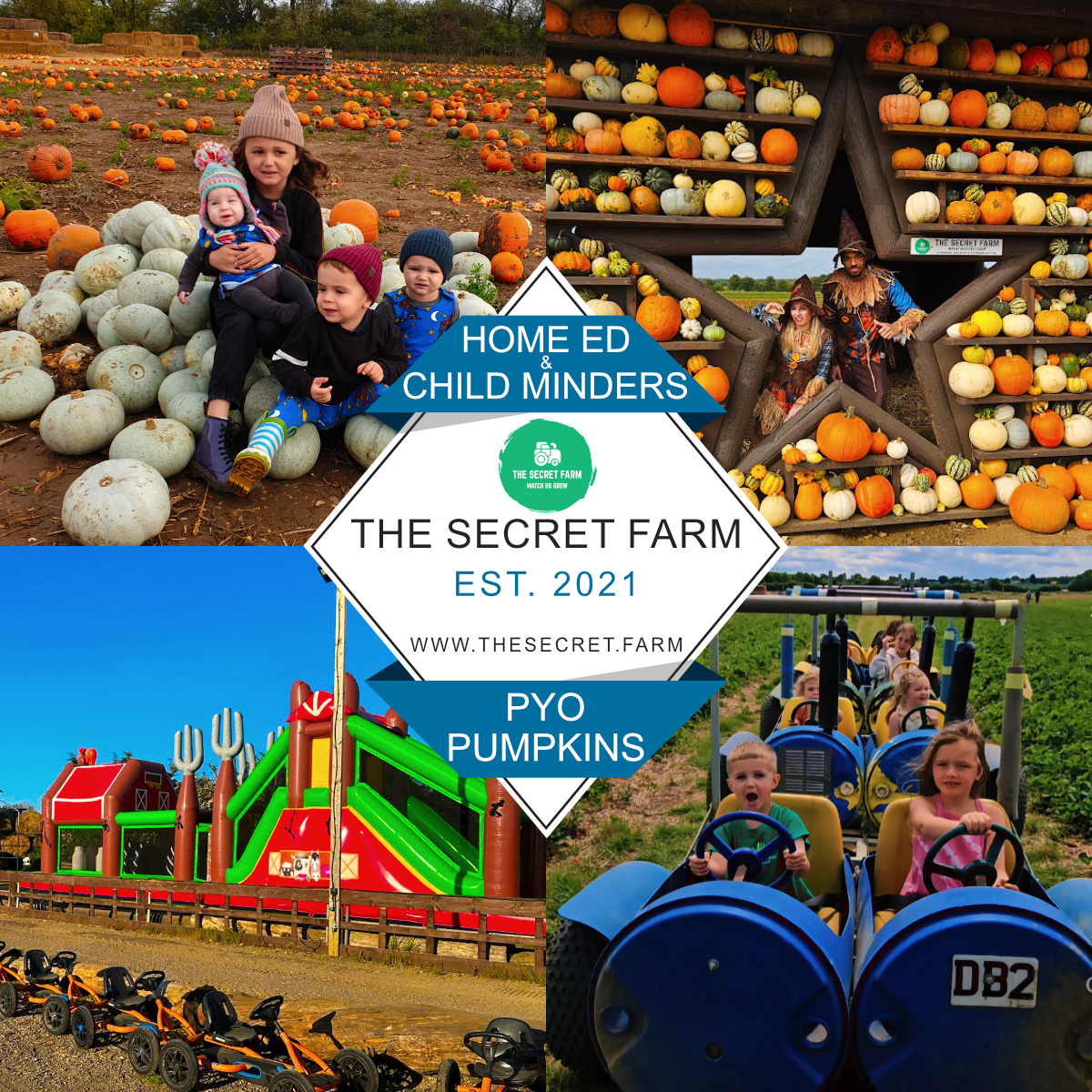 Secret Pumpkin - The Secret Farm - PYO in Bedfordshire
