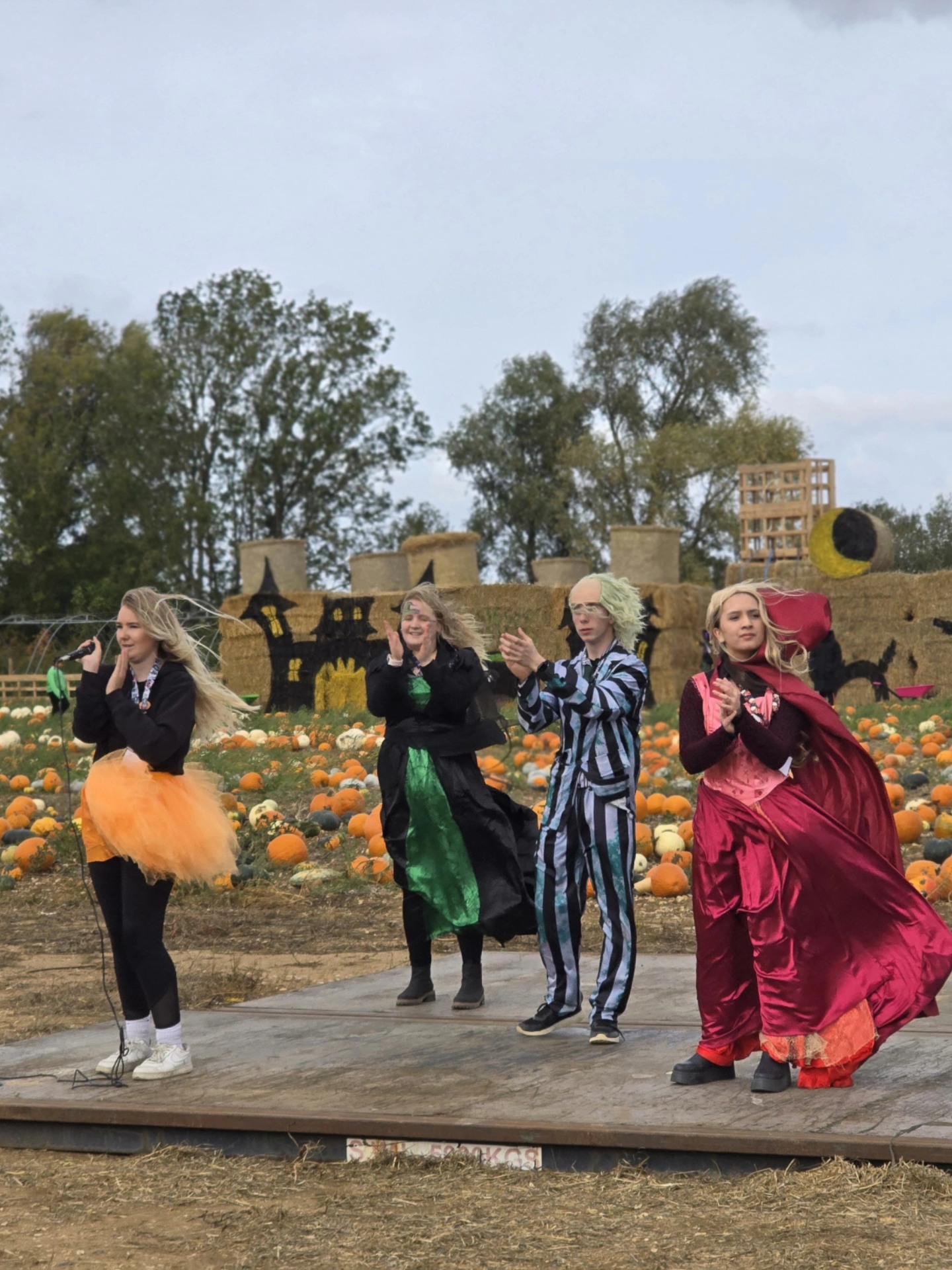 Shows - The Secret Farm - PYO in Bedfordshire