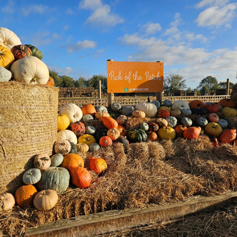 The Secret Farm - Pick Your Own - PYO in Bedfordshire