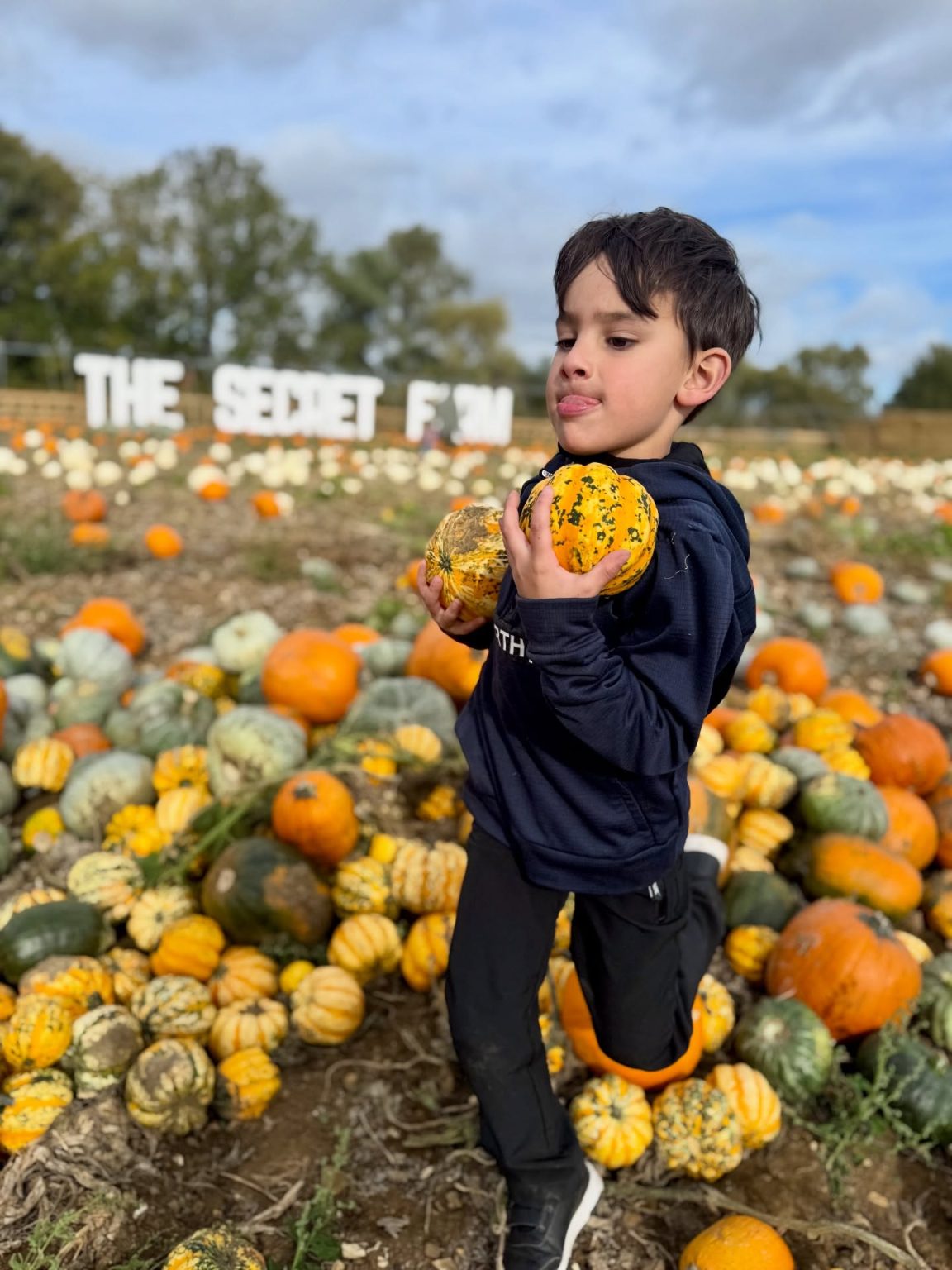 What an Amazing Opening Weekend at The Secret Farm! 🎃 - The Secret Farm ...