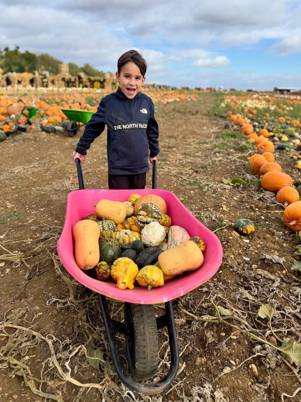 What an Amazing Opening Weekend at The Secret Farm! 🎃 - The Secret Farm ...