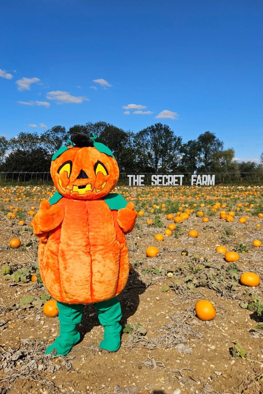 The Secret Farm - Pick Your Own - PYO in Bedfordshire