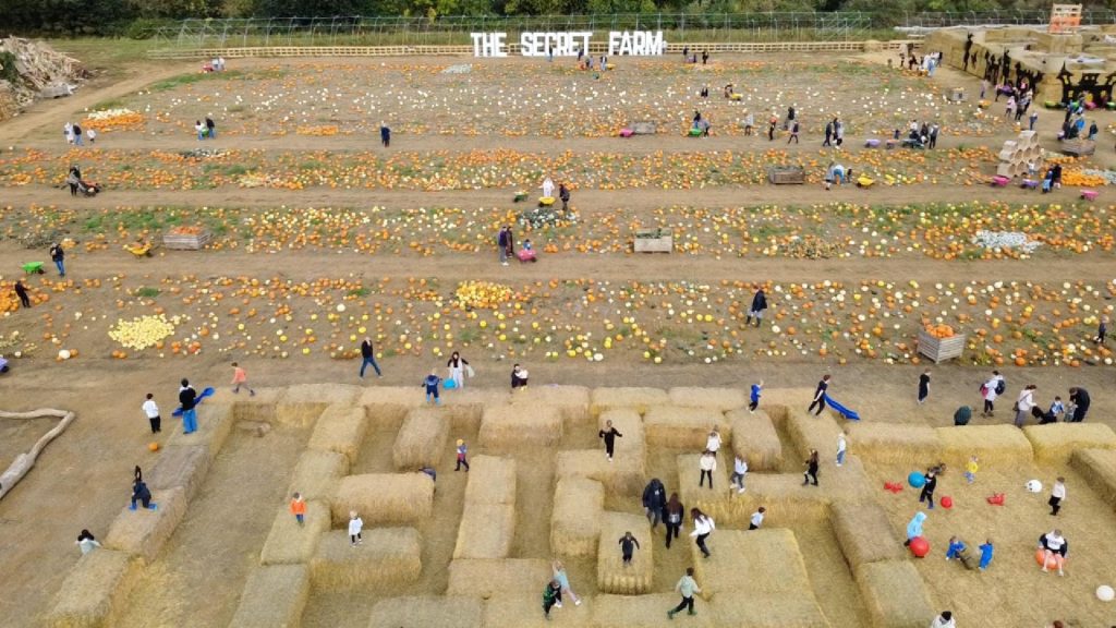 The Secret Farm - Pick Your Own - PYO in Bedfordshire