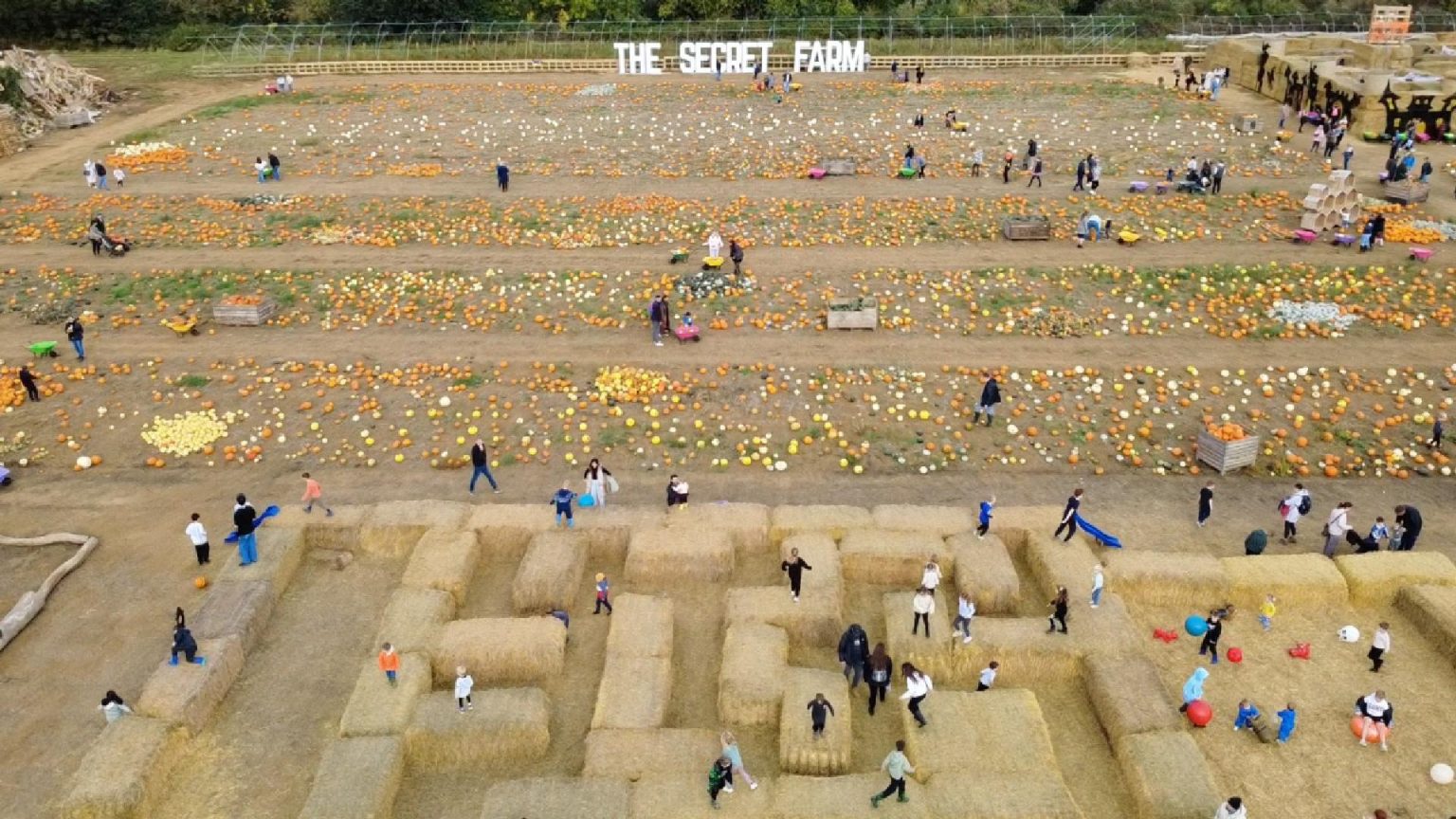 The Secret Farm - Pick Your Own - PYO in Bedfordshire