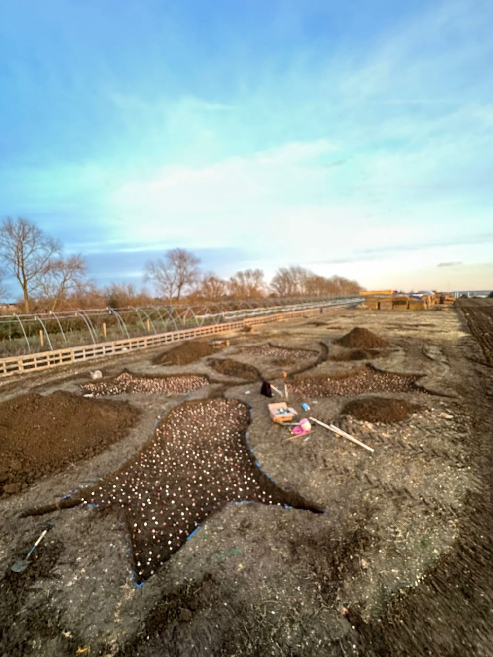 The Secret Farm - Pick Your Own - PYO in Bedfordshire