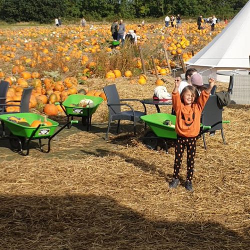 The Secret Farm - Pick Your Own - PYO in Bedfordshire